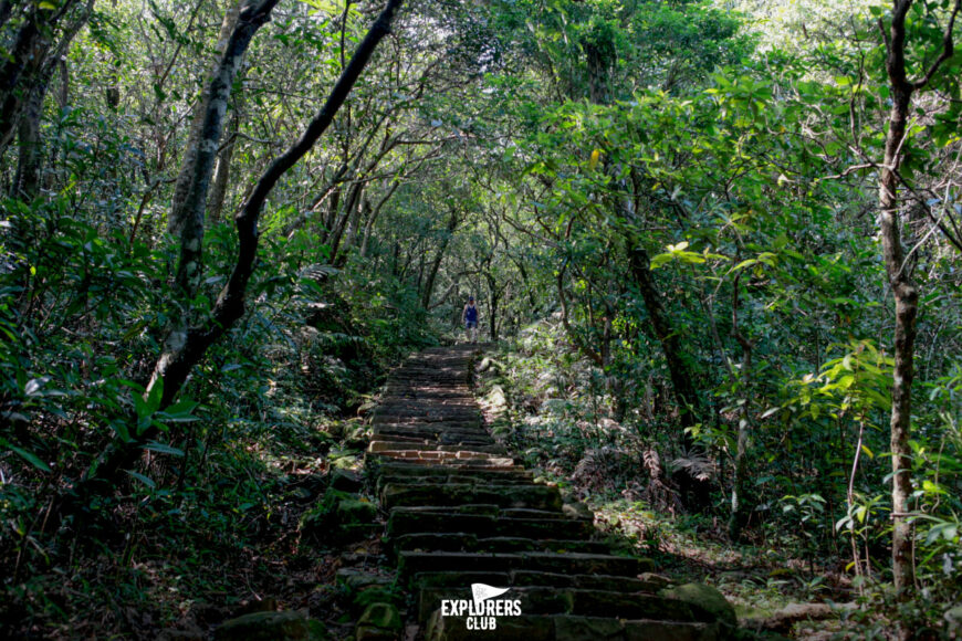 เส้นทางโบราณเฉาหลิง (Caoling Historic Trail) เส้นทางเดินป่า ไต้หวัน