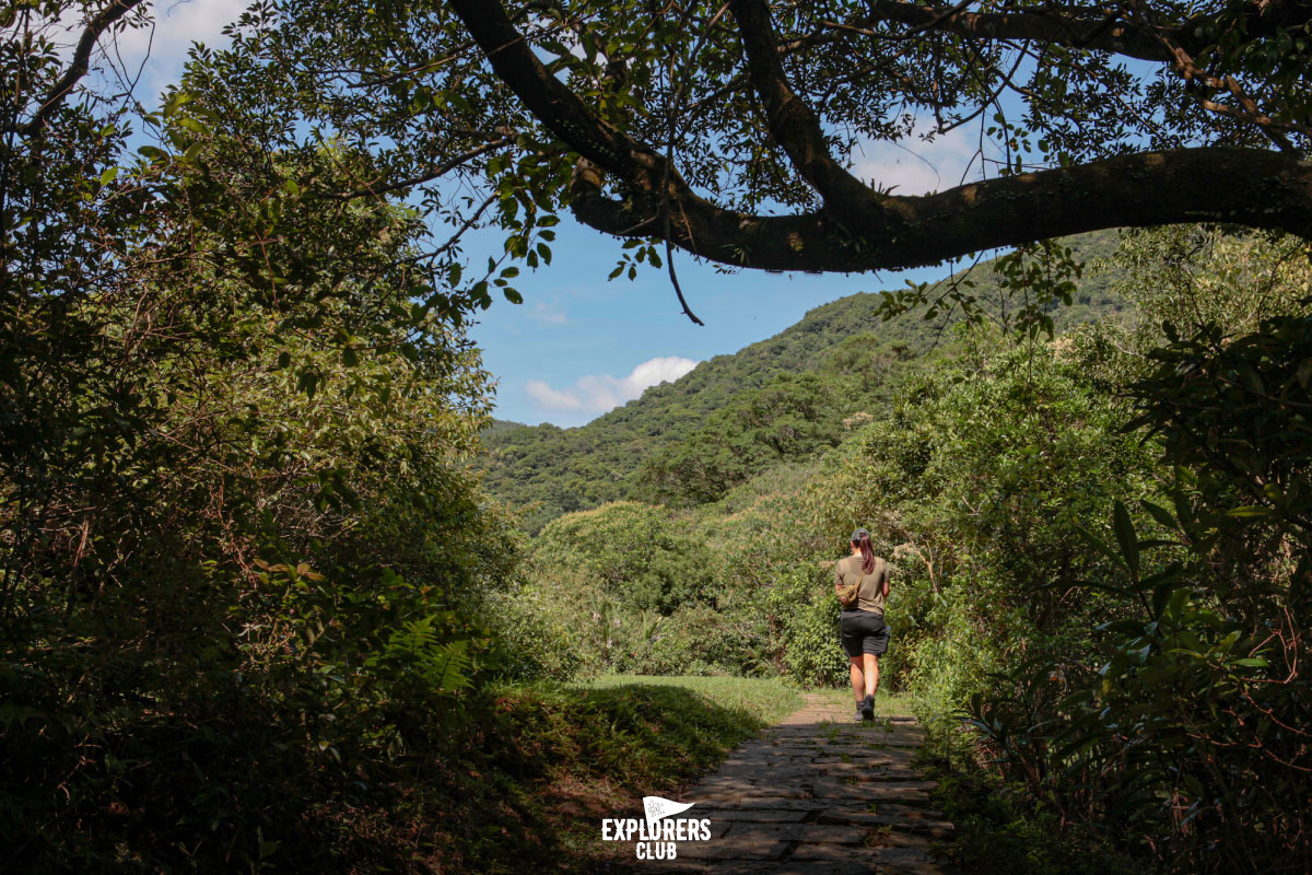 เส้นทางโบราณเฉาหลิง (Caoling Historic Trail) เส้นทางเดินป่า ไต้หวัน