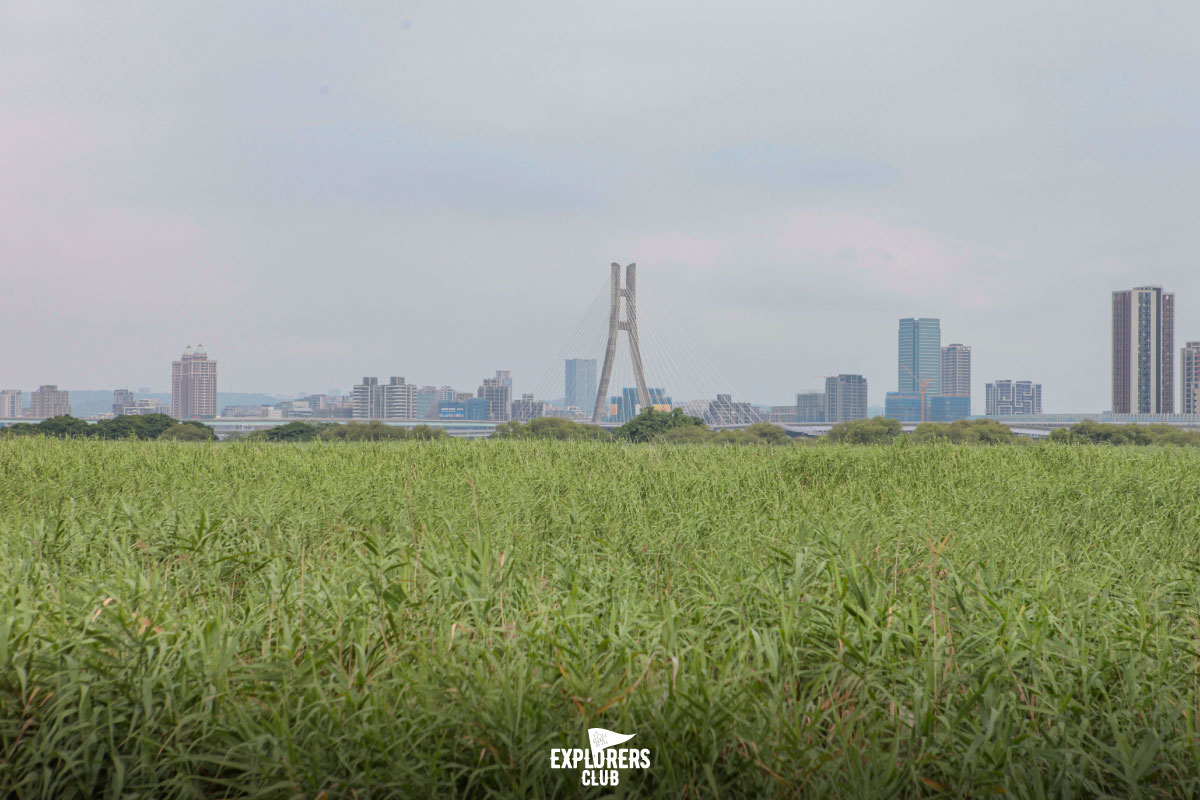 ปั่น จักรยานสาธารณะ YouBike ลัดเลาะเลียบแม่น้ำ ชมเมือง ไทเป - นิวไทเป