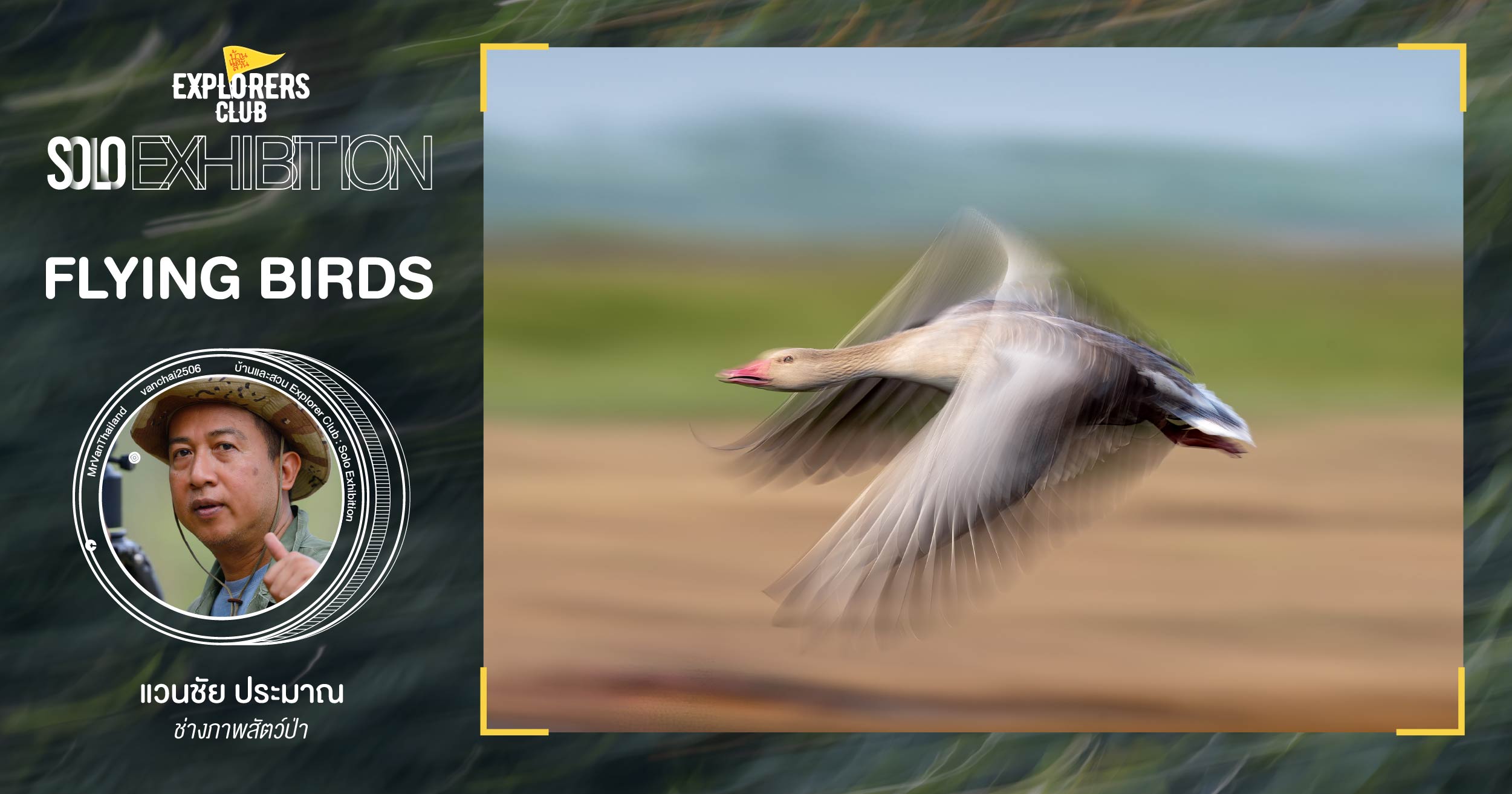 Flying Birds ชุดภาพถ่ายโดย แวนชัย ประมาณ