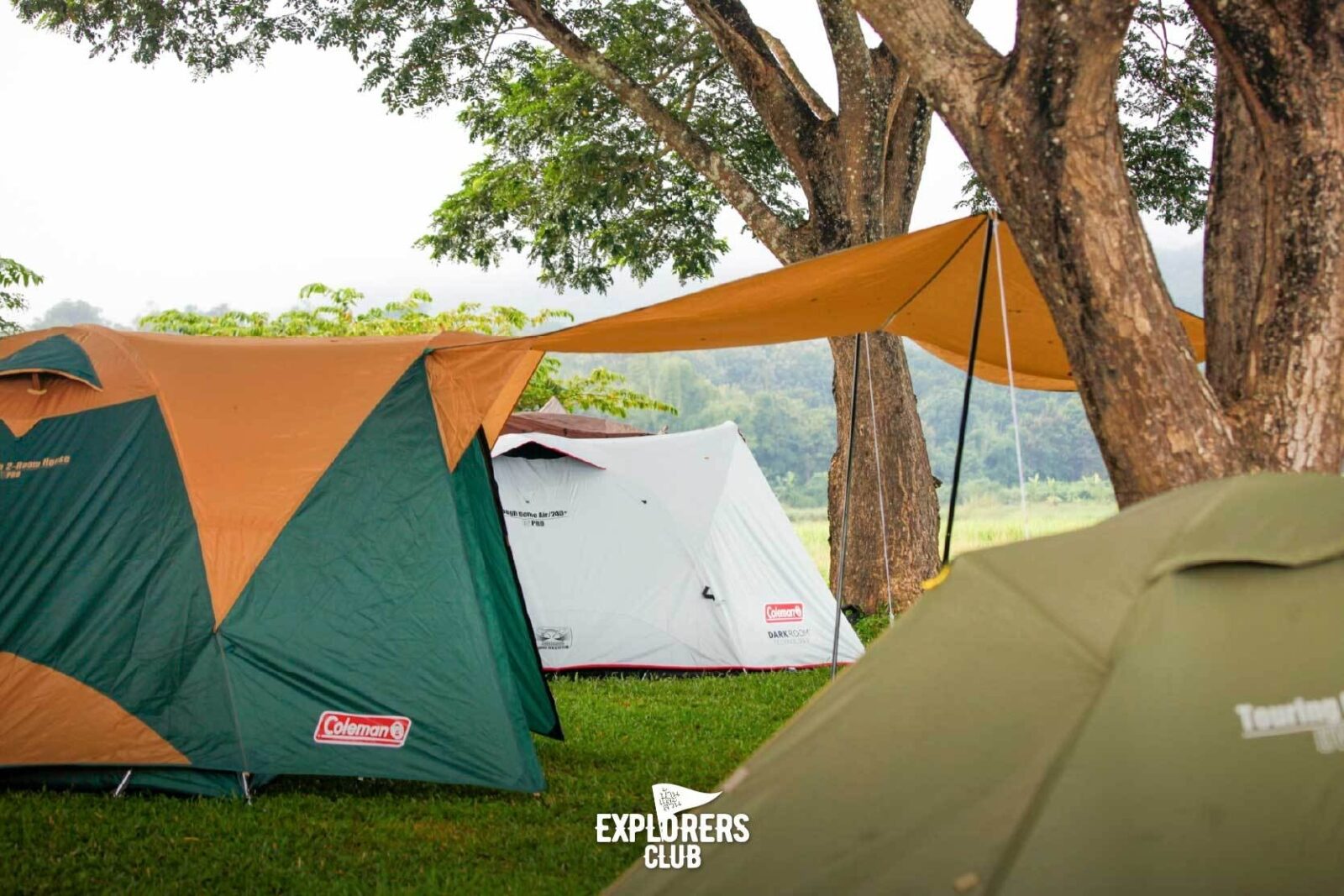 คาเฟ่ด่านซ้าย จุดกางเต็นท์ The Enlighten Coffee and Community จ.เลย