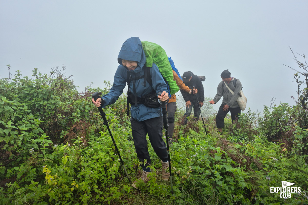 เปิดเส้นทาง เดินป่าแม่เหาะ (Mae Ho Trail)