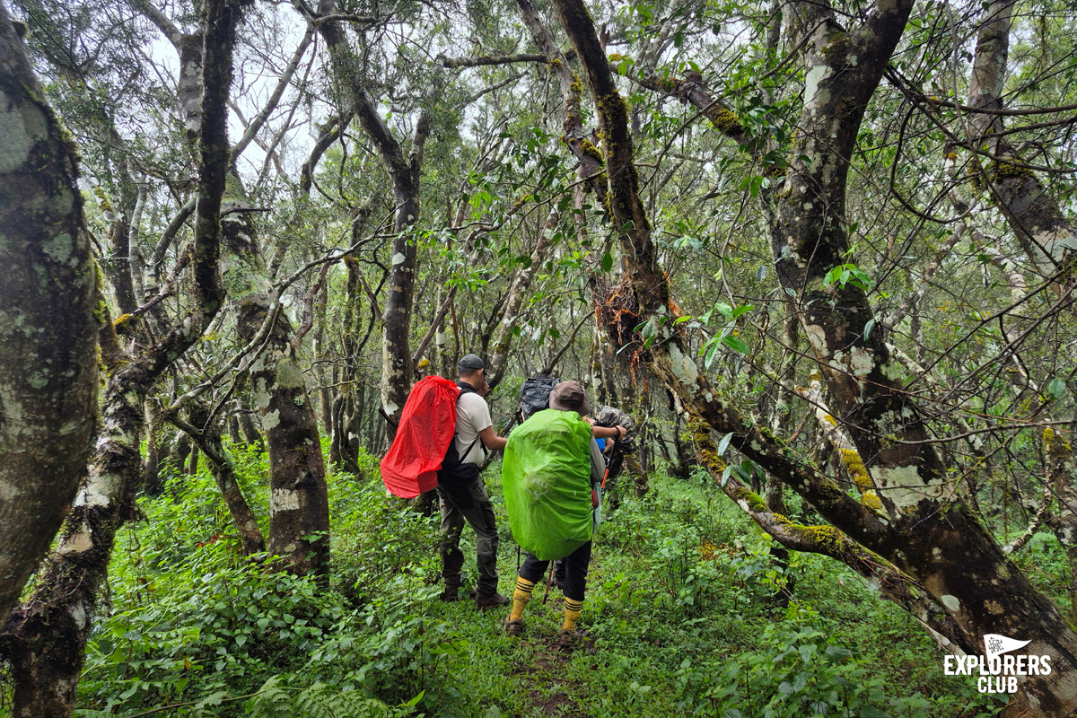 เปิดเส้นทาง เดินป่าแม่เหาะ (Mae Ho Trail)