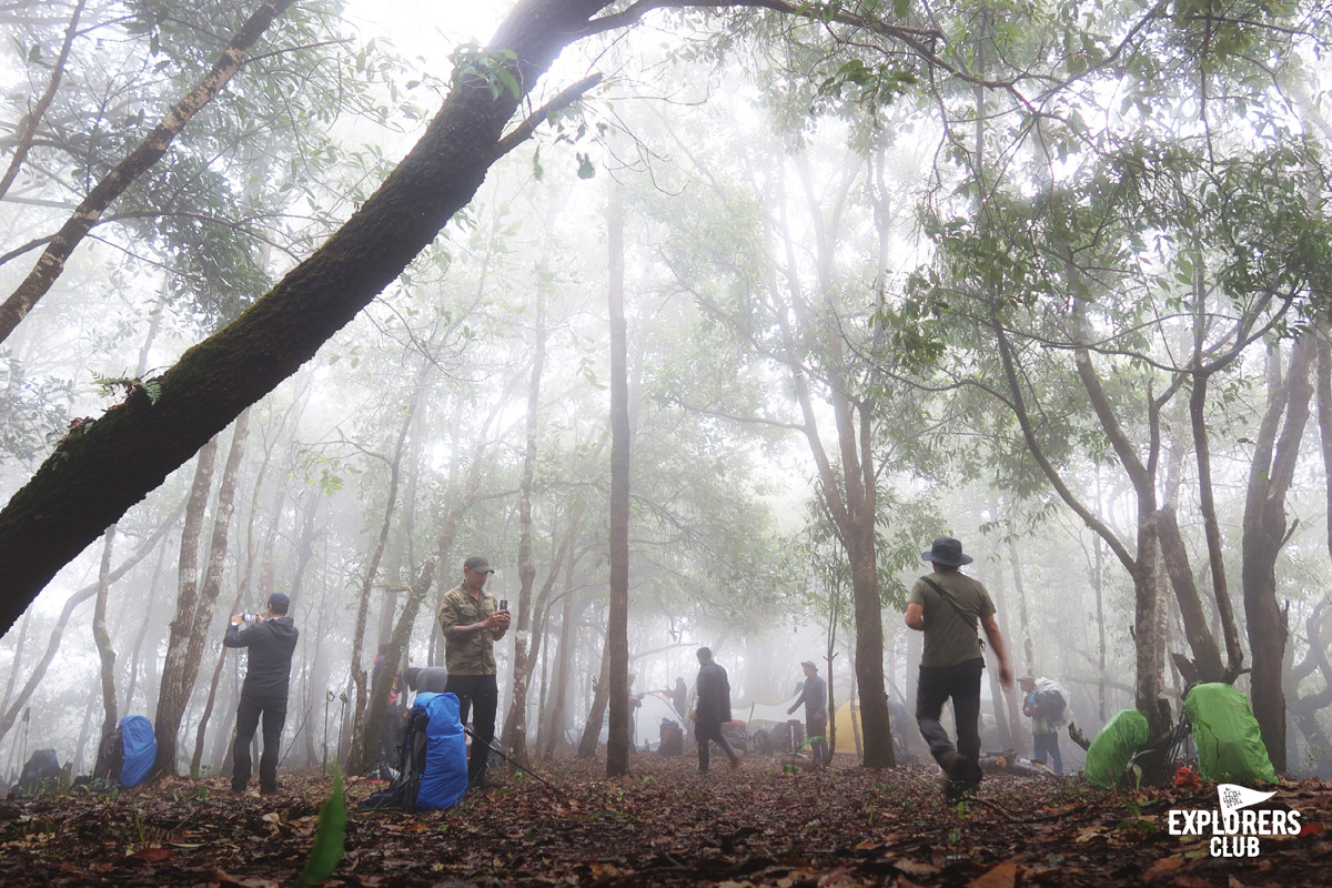 เปิดเส้นทาง เดินป่าแม่เหาะ (Mae Ho Trail)
