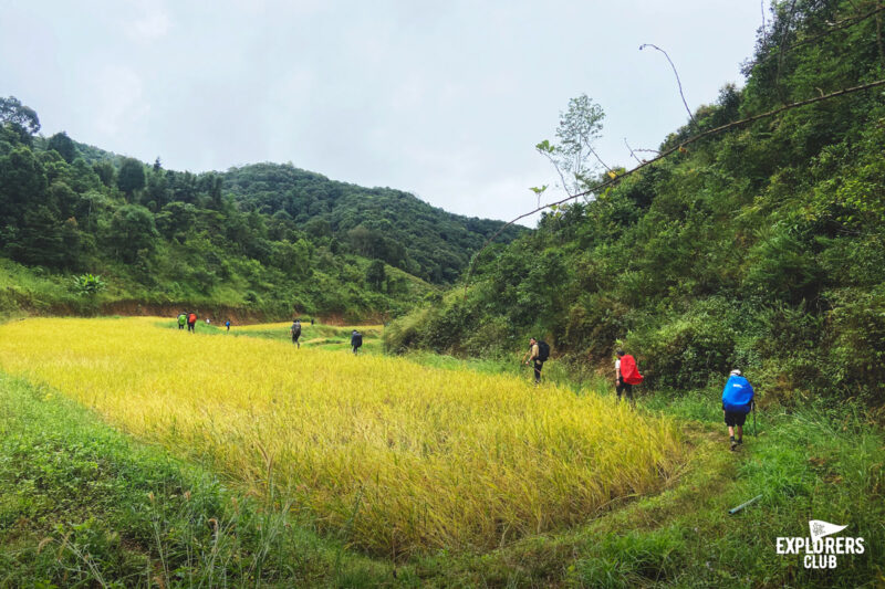 เปิดเส้นทาง เดินป่าแม่เหาะ (Mae Ho Trail)