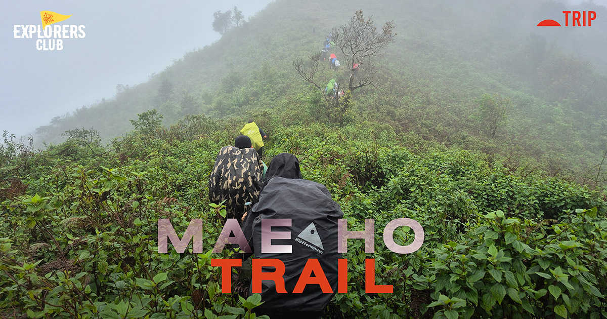 เปิดเส้นทาง เดินป่าแม่เหาะ (Mae Ho Trail)